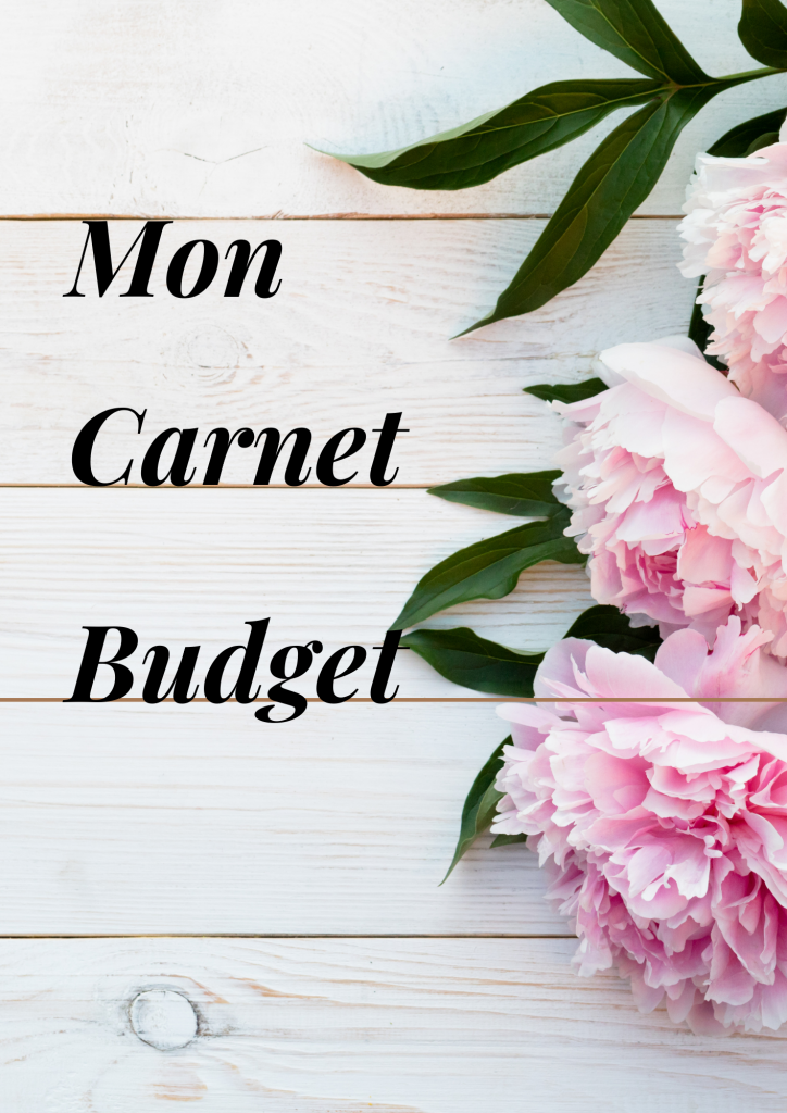 Carnet Budget Annuel – Méthode des Enveloppes [PDF Téléchargeable ...